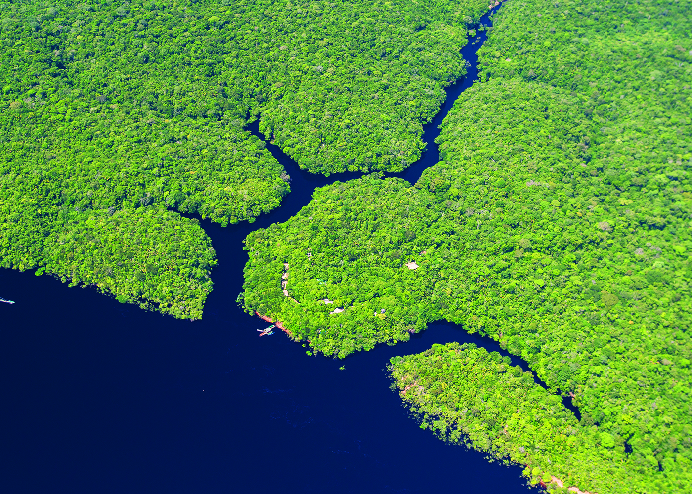 Anavilhanas Amazon Lodge | South America Tourism Office